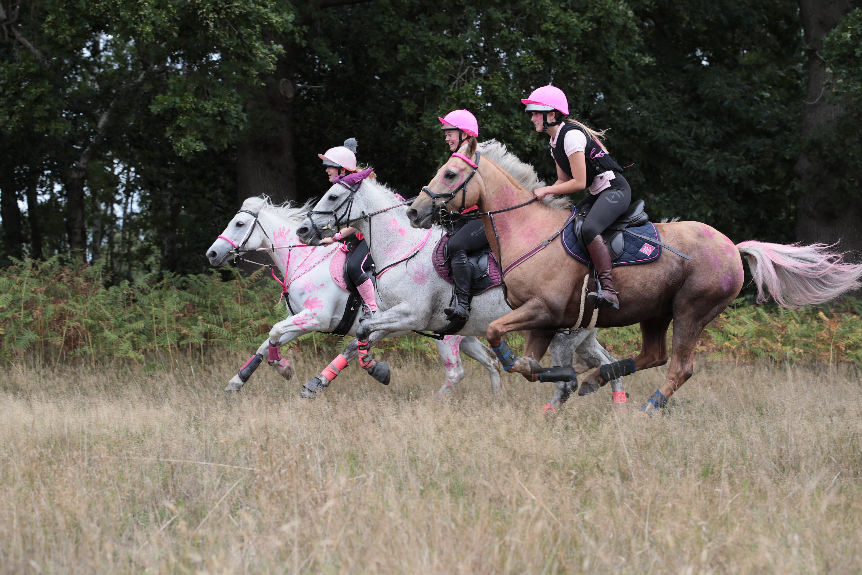 Events - LGB Equestrian - Ellie Osborne Photography Limited