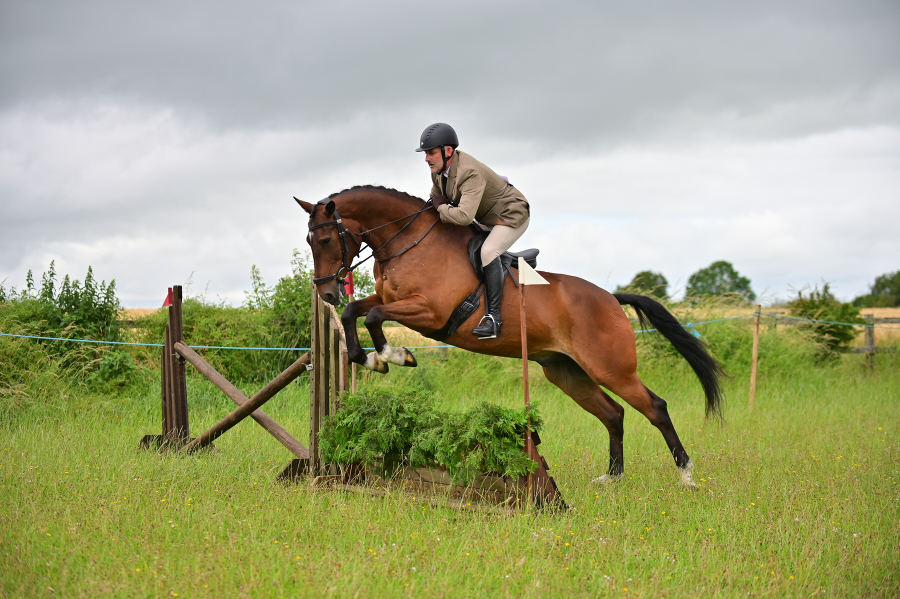 Wanborough Show 1st July 2023 - Events - Wanborough Show - Ellie ...